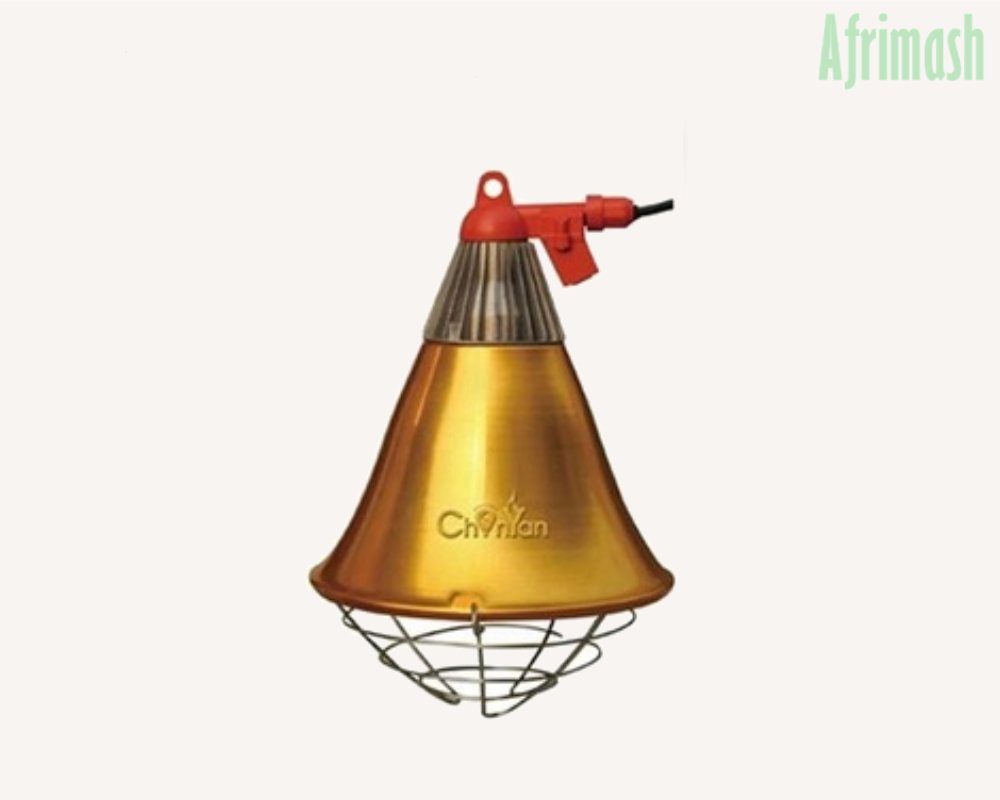 Infrared Heating Bulb/Brooding Lamp (For Piglets and Chicks) 250W ...