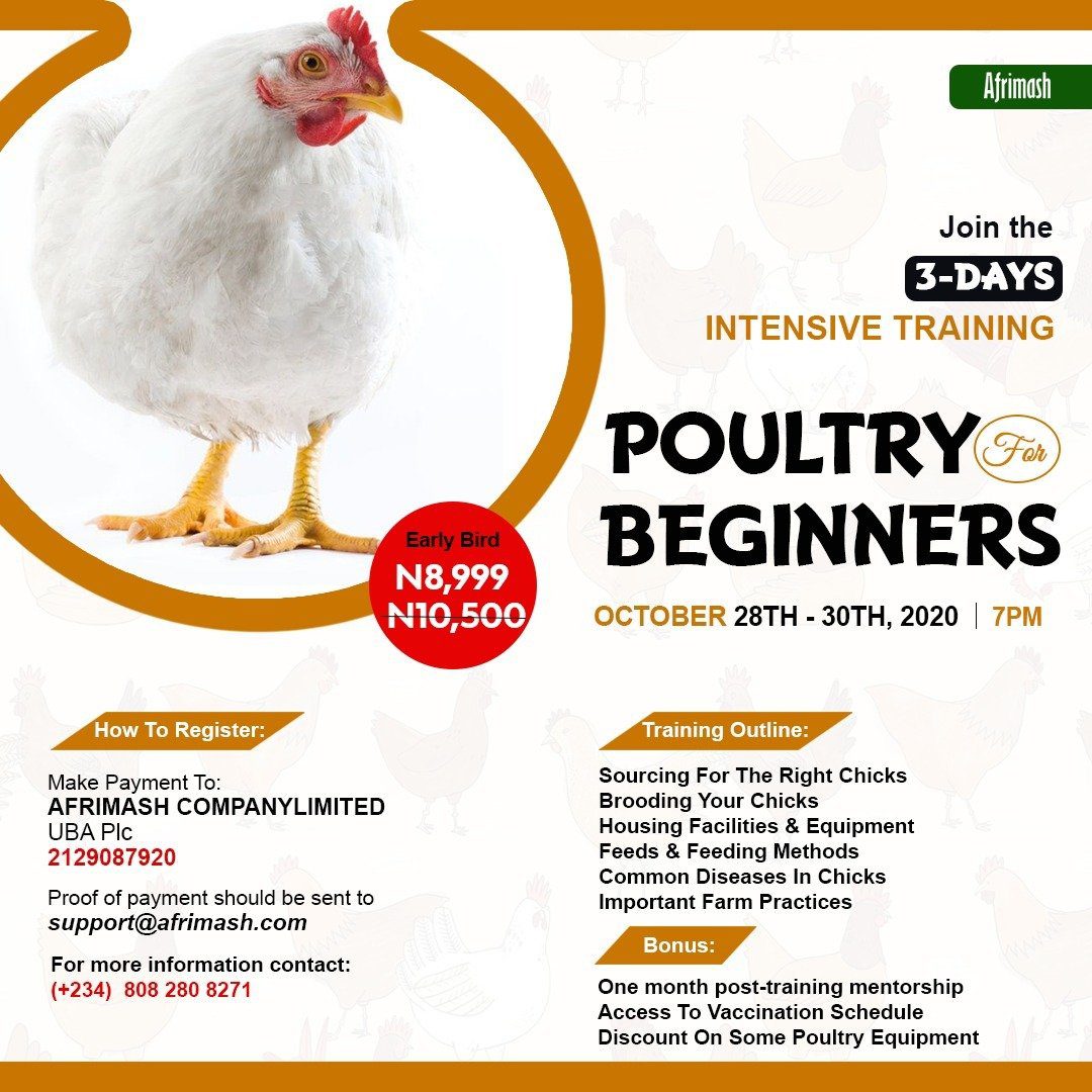 Intensive Training on Poultry for Beginners - Afrimash.com - Nigeria