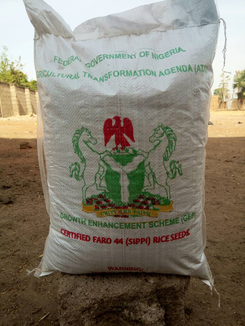Faro 44 Rice Paddy (per kg) - Afrimash.com - Nigeria